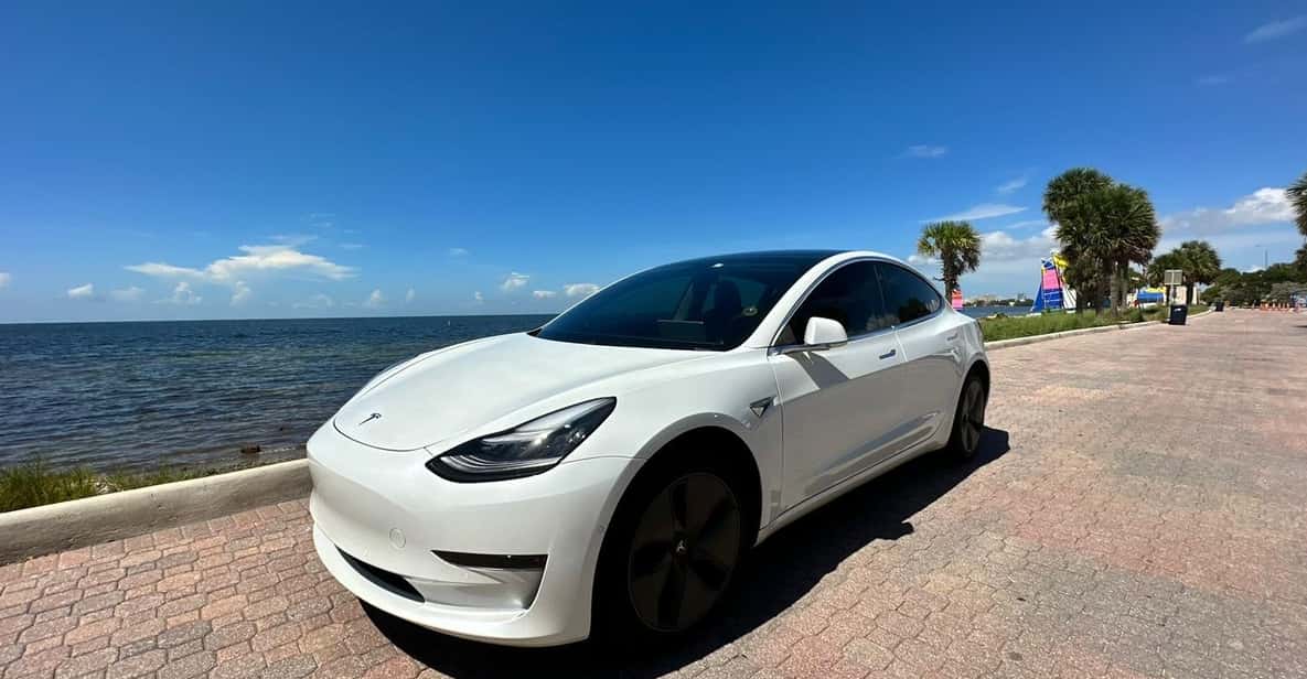 Explore Miami with a Private driver - Why This Tour Offers Good Value