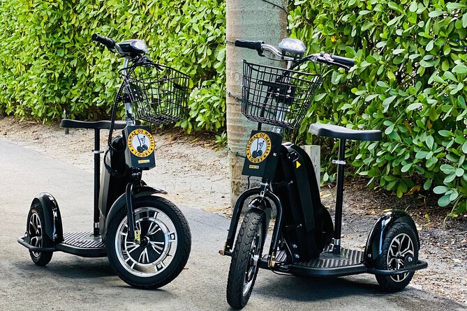 Explore Naples on a Guided Segway Tour - The Practice Session: Building Confidence