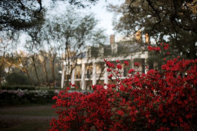 Explore Oak Alley Plantation Guided Tour with Transportation - Key Points