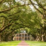 Explore Oak Alley Plantation Guided Tour with Transportation - The Main Plantation House & Interiors