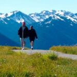 Explore Olympic National Park from Seattle through Van /Ferry - Practicalities & What to Keep in Mind