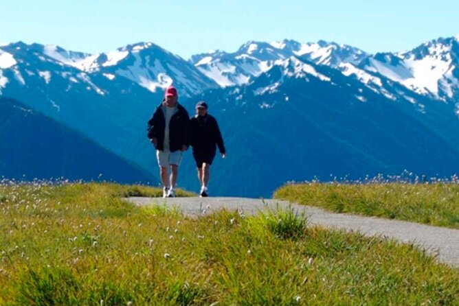 Explore Olympic National Park from Seattle through Van /Ferry - Practicalities & What to Keep in Mind