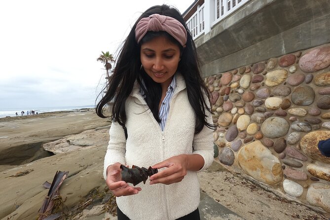 Explore San Diego Tide Pools with a Marine Biologist - Frequently Asked Questions