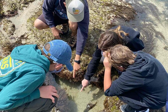 Explore San Diego Tide Pools with a Marine Biologist - Additional Information