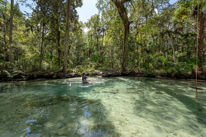 Explore The Chaz: Exclusive Clear Kayak Tours Near Crystal River - A Deep Dive into the Experience