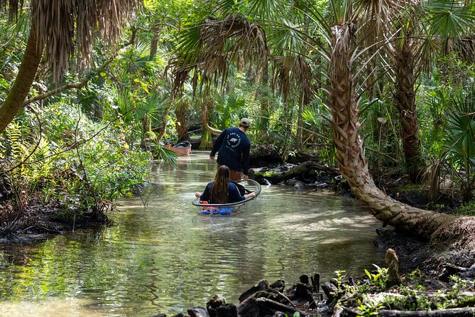 Explore The Chaz: Exclusive Clear Kayak Tours Near Crystal River - The Sum Up