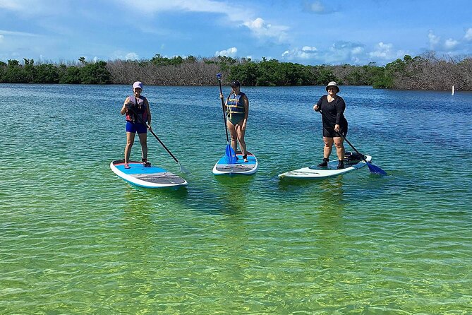 Explore the Mangrove Creeks with an ALL Day Tandem Kayak Rental - Key Points