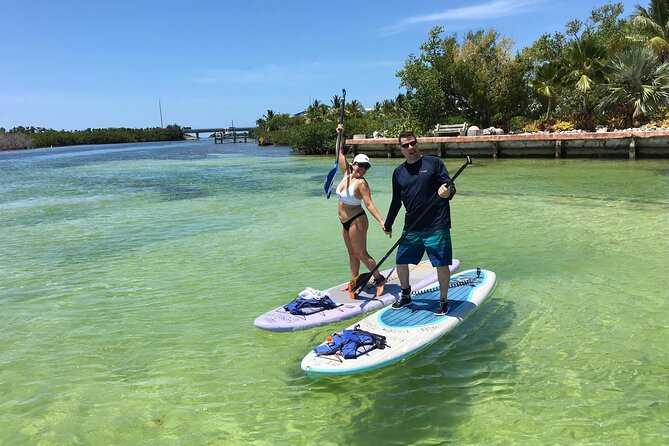 Explore the Mangrove Creeks with an ALL Day Tandem Kayak Rental - The Experience in Detail