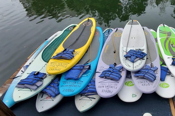 Explore the Mangrove Creeks with an ALL Day Tandem Kayak Rental - Wrapping Up