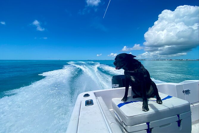 Explore the Waters of Key West - An In-Depth Look at the Experience