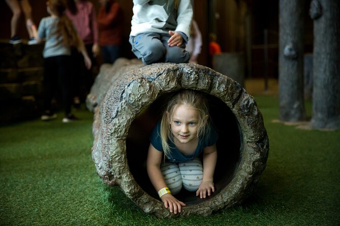 Explore Ticket to Fritz's in Branson - Who Should Consider This Experience?