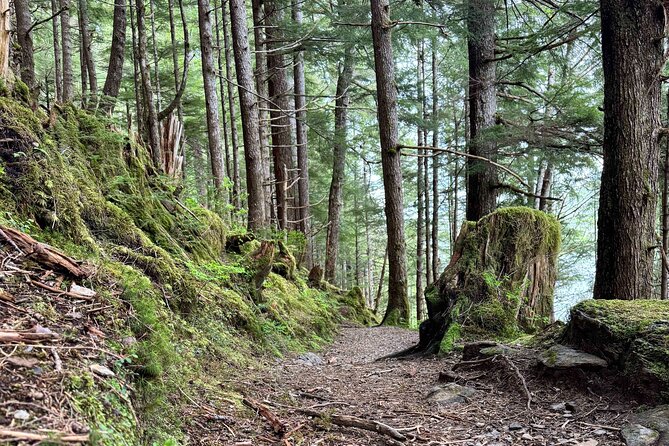 Explore Tongass National Forest on Connell Lake Trail Hike - Key Points