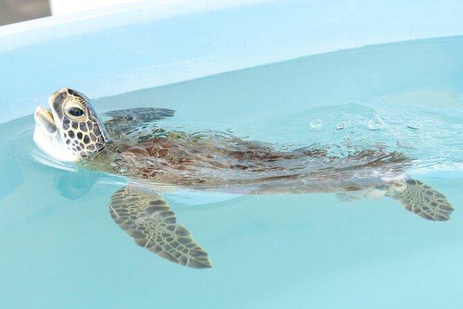 Explore Wildlife Sanctuaries on the WILD Palm Beaches Tour - Final Thoughts