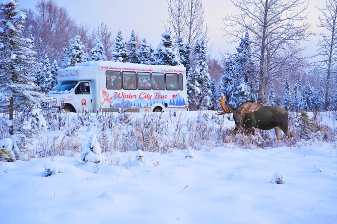 Exploring Anchorage on Winter Sundays - The Sum Up