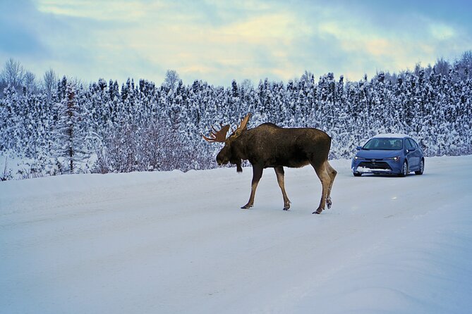 Exploring Anchorage on Winter Sundays - Frequently Asked Questions
