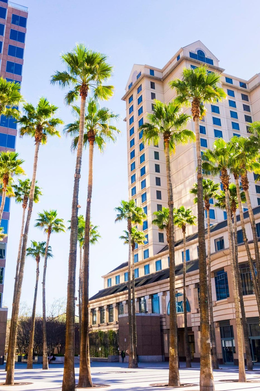 Fabulous City walking tour of San Jose - An Authentic Introduction to San José