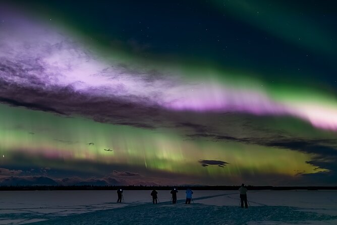 Face The Outdoors Northern Lights Tour Small Group - What Reviewers Love Most