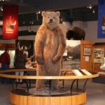 Fairbanks Autumn/Winter City Tour - Who Will Love This Tour?