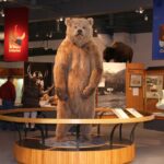 Fairbanks City Tour - Who Will Love This Tour?