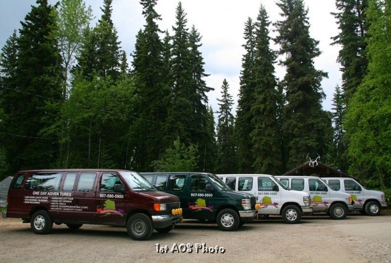 Fairbanks  Denali Shuttle Service - Key Points