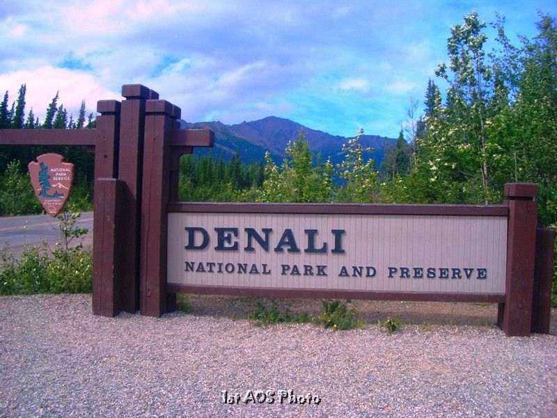 Fairbanks  Denali Shuttle Service - Who This Tour is Best For