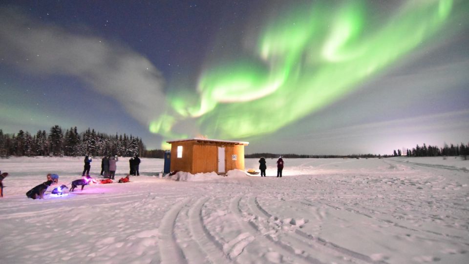 Fairbanks: Dog Sledding and Mushing Experience - Key Points