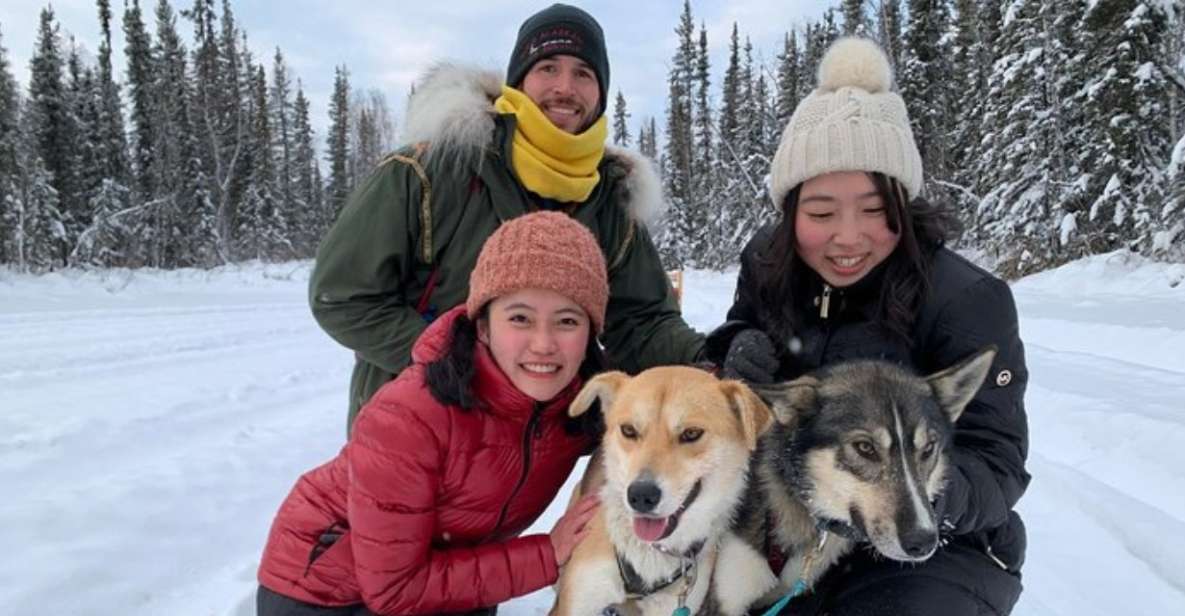 Fairbanks: Dog Sledding and Mushing Experience - Final Thoughts on Value and Appeal