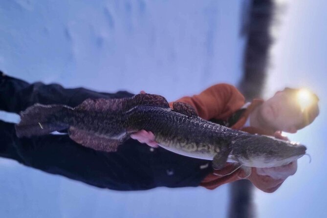 Fairbanks Ice Fishing with Transportation - Authentic, but Not Perfect — A Balanced View