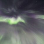 Fairbanks: Moonlight Dog Sled, Dinner & Northern Lights - Why This Tour Works