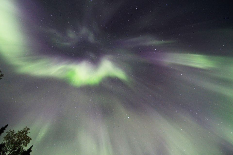 Fairbanks: Moonlight Dog Sled, Dinner & Northern Lights - Why This Tour Works