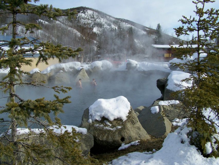 Fairbanks: Northern Lights and Chena Hot Springs Tour - The Itinerary: From Departure to Aurora Chase