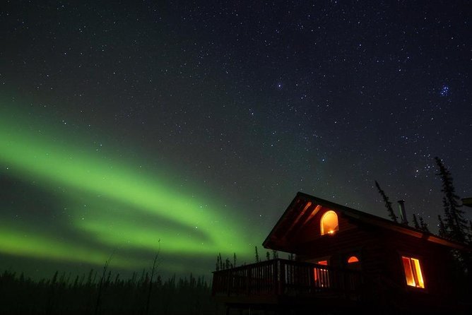 Fairbanks Northern Lights Tour - Who Should Consider This Tour?