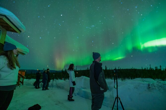 Fairbanks Northern Lights Tour - Final Thoughts