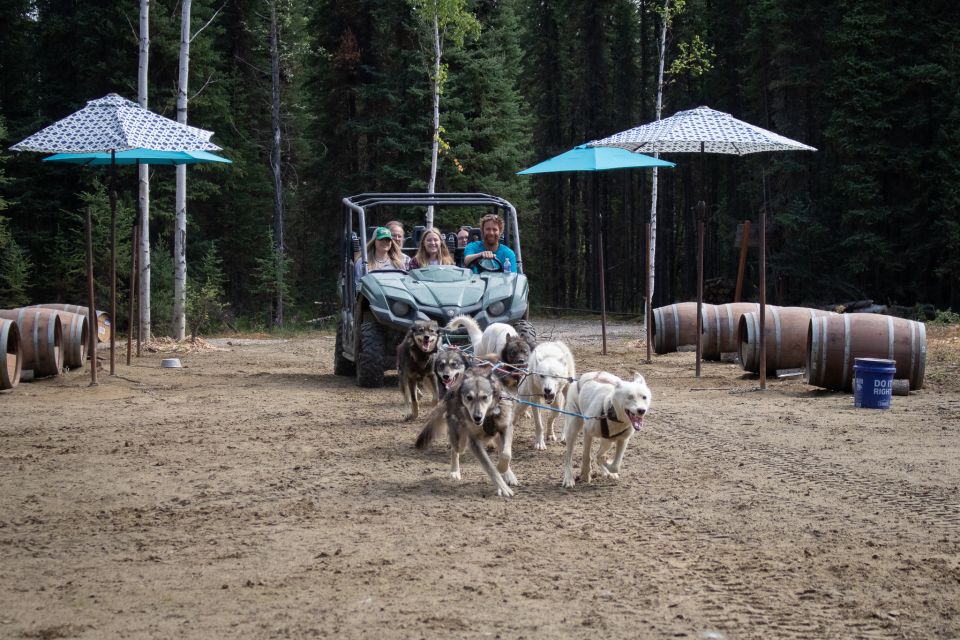 Fairbanks: Summer Mushing Cart Ride and Kennel Tour - Exploring the Experience in Detail