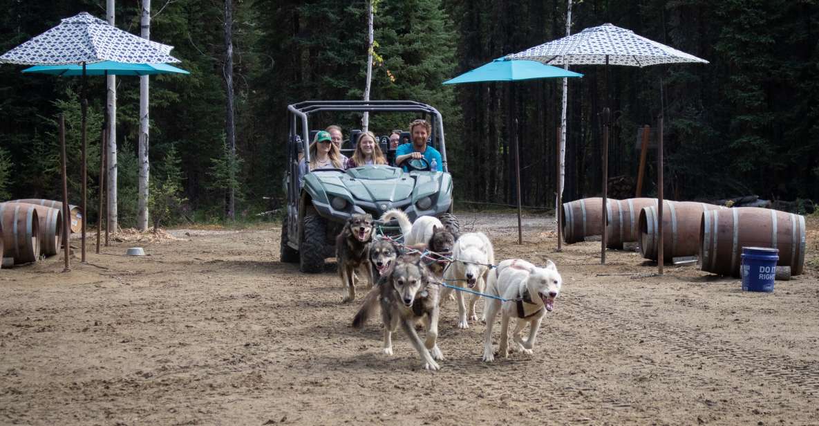 Fairbanks: Summer Mushing Cart Ride and Kennel Tour - The Practicalities
