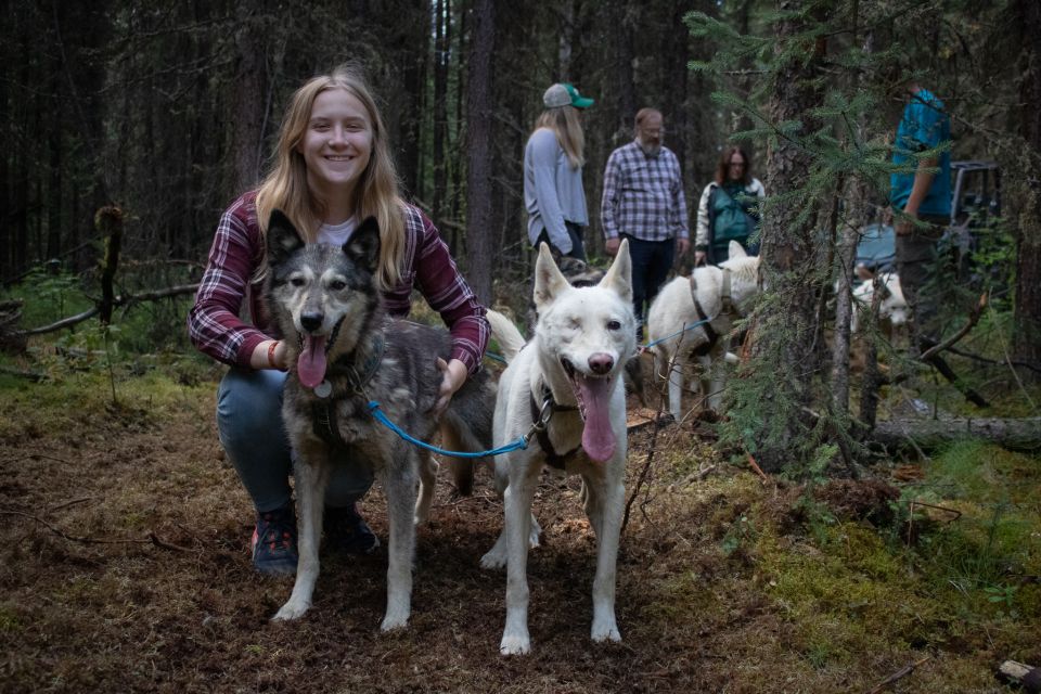 Fairbanks: Summer Mushing Cart Ride and Kennel Tour - The Sum Up