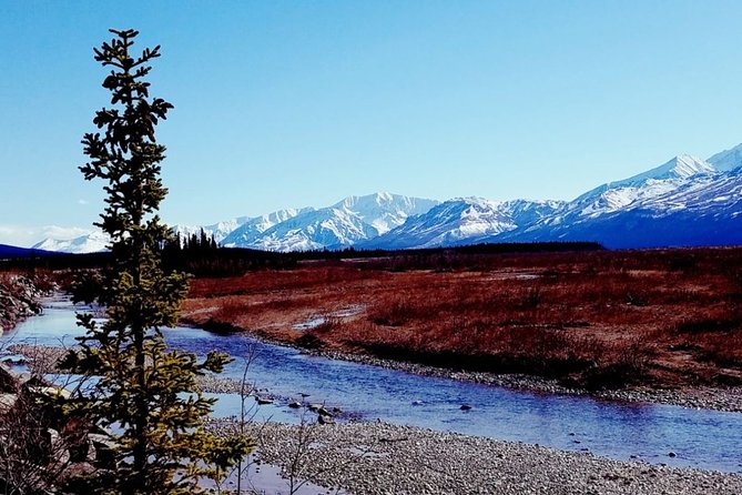 Fairbanks to Denali Shuttle Service - An In-Depth Look at the Fairbanks to Denali Shuttle Service