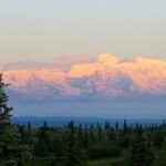 Fairbanks to Denali Shuttle Service - Who Will Love This Service?