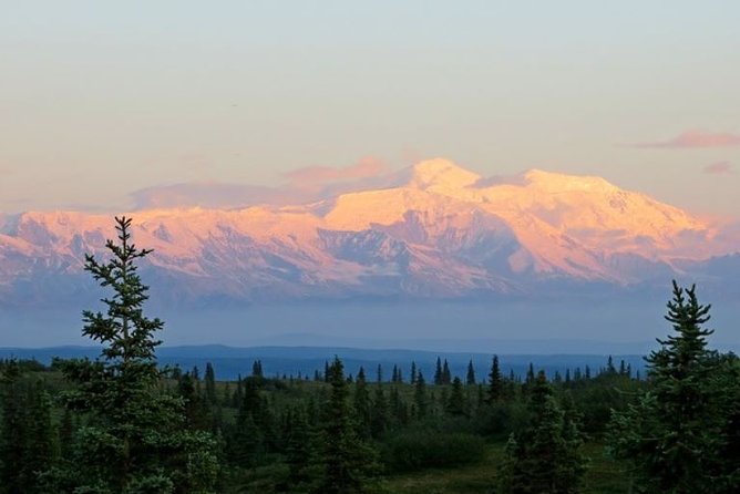 Fairbanks to Denali Shuttle Service - Who Will Love This Service?