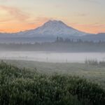 Faithful Hands Farm Tour - Who Will Love This Tour?