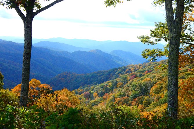 Fall Color Tour in the Smoky Mountains - The Scenic Journey Begins
