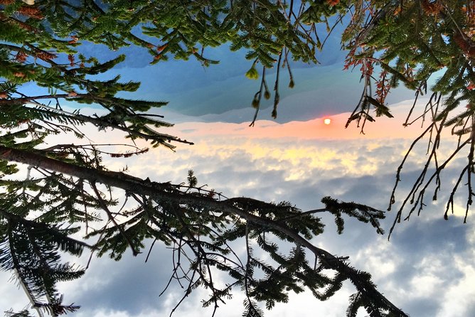 Fall Color Tour in the Smoky Mountains - Following the Trail: A Walk Through Nature