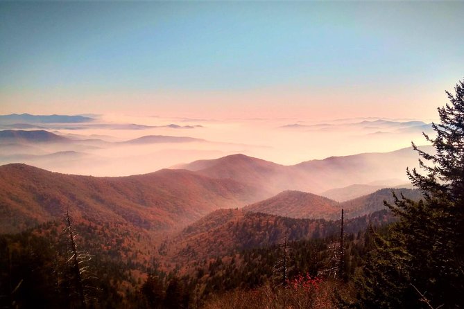 Fall Color Tour in the Smoky Mountains - Who Will Love This Tour?