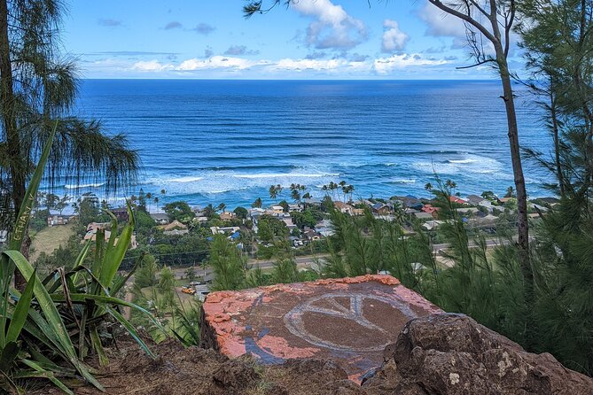 Famed North Shore Tour - Transportation, Timing, and Group Experience