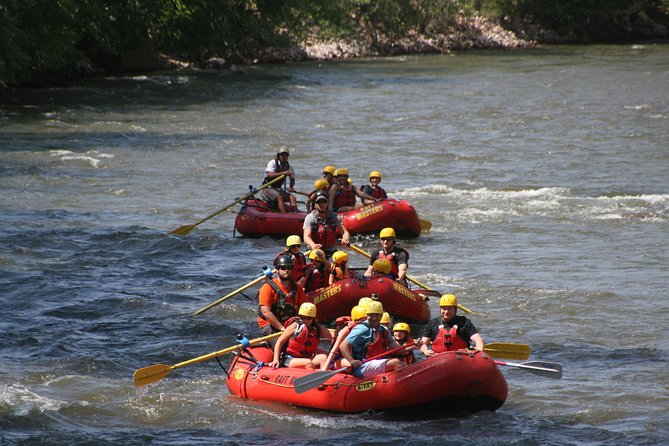 Family Float (FREE Lunch, Digital Photo, and Wetsuit Use) - Final Thoughts