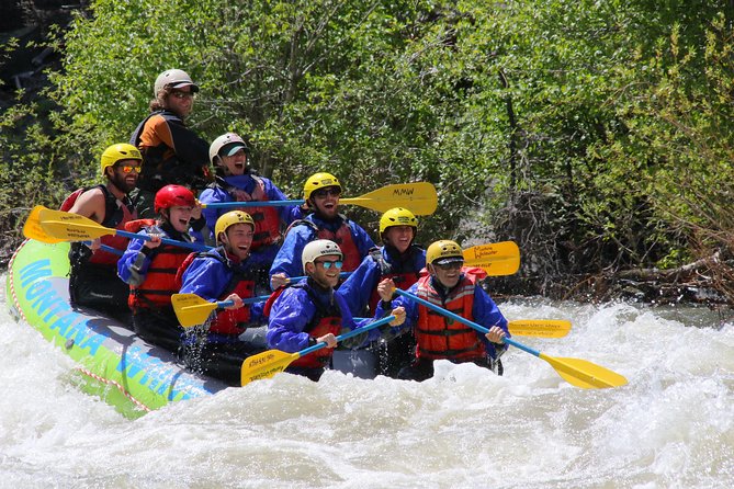 Family Friendly Gallatin River Whitewater Rafting - What to Expect from the Gallatin River Whitewater Rafting Tour