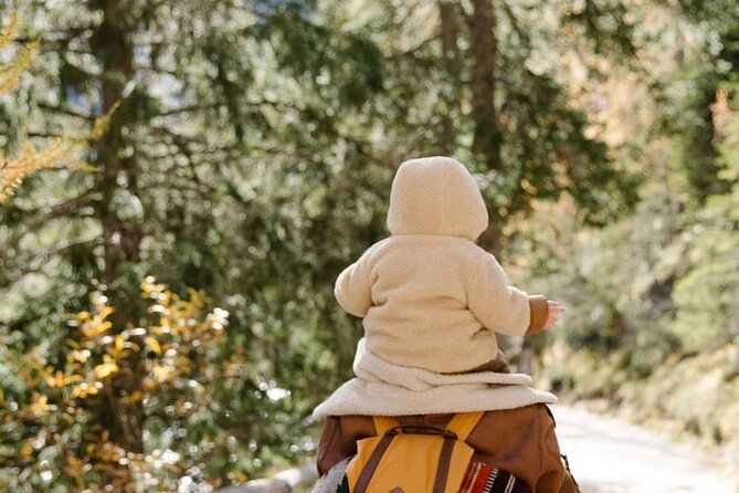 Family-Friendly Nature Hike around the Big Bear Valley - An In-Depth Look at the Big Bear Family Hike