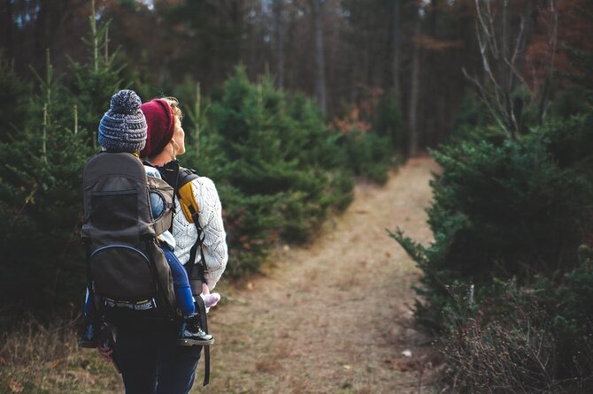 Family-Friendly Nature Hike around the Big Bear Valley - Who Should Book This Tour?