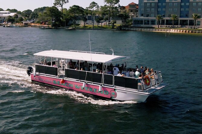 Family-Friendly Snorkeling and Dolphin Tour from FWB - What to Expect from the Itinerary