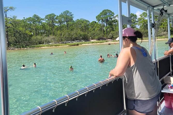 Family-Friendly Snorkeling and Dolphin Tour from FWB - The Experience in Detail